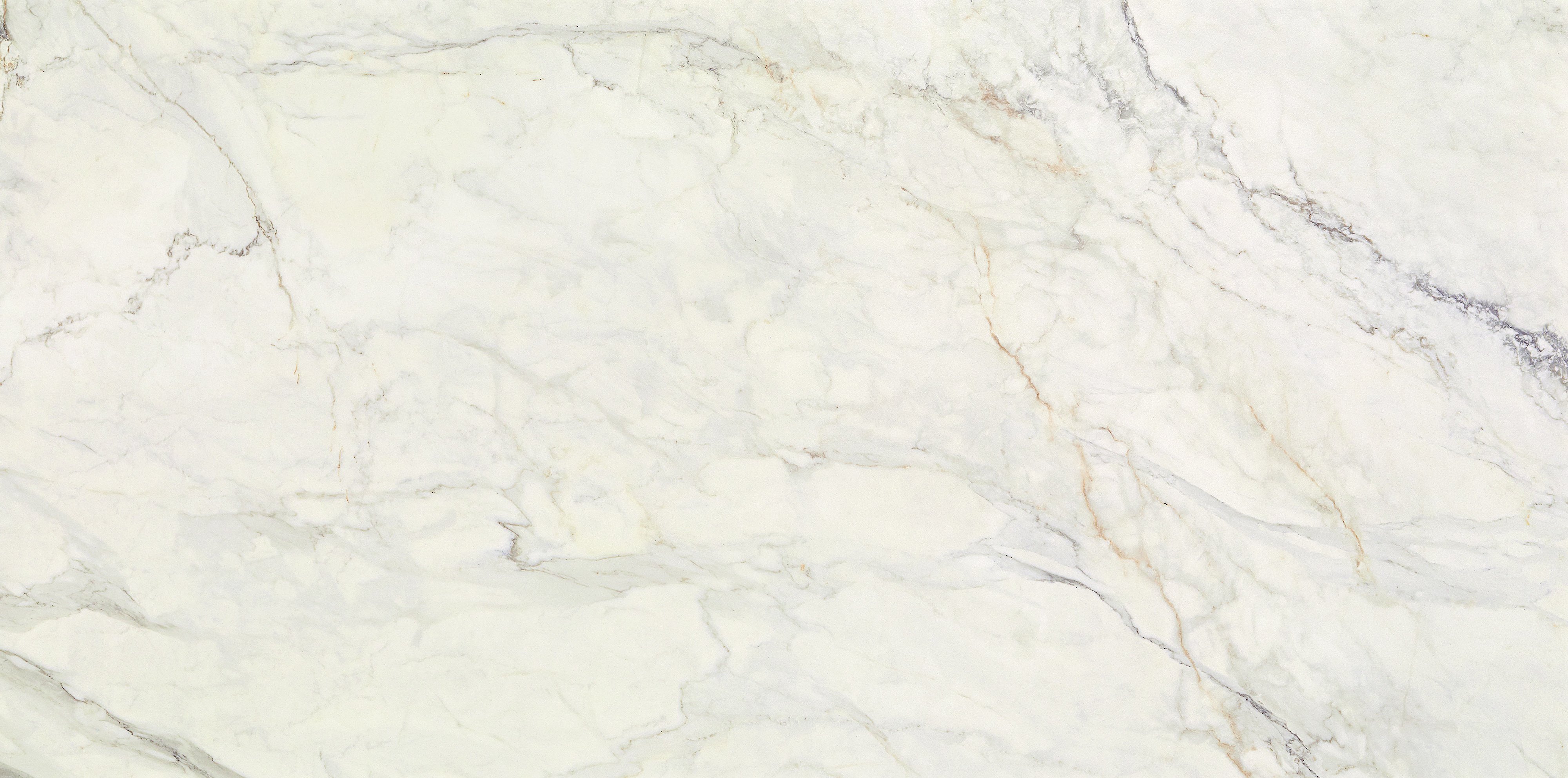 Product | Apuano Oro 60x120 Polished Rectified - Portobello