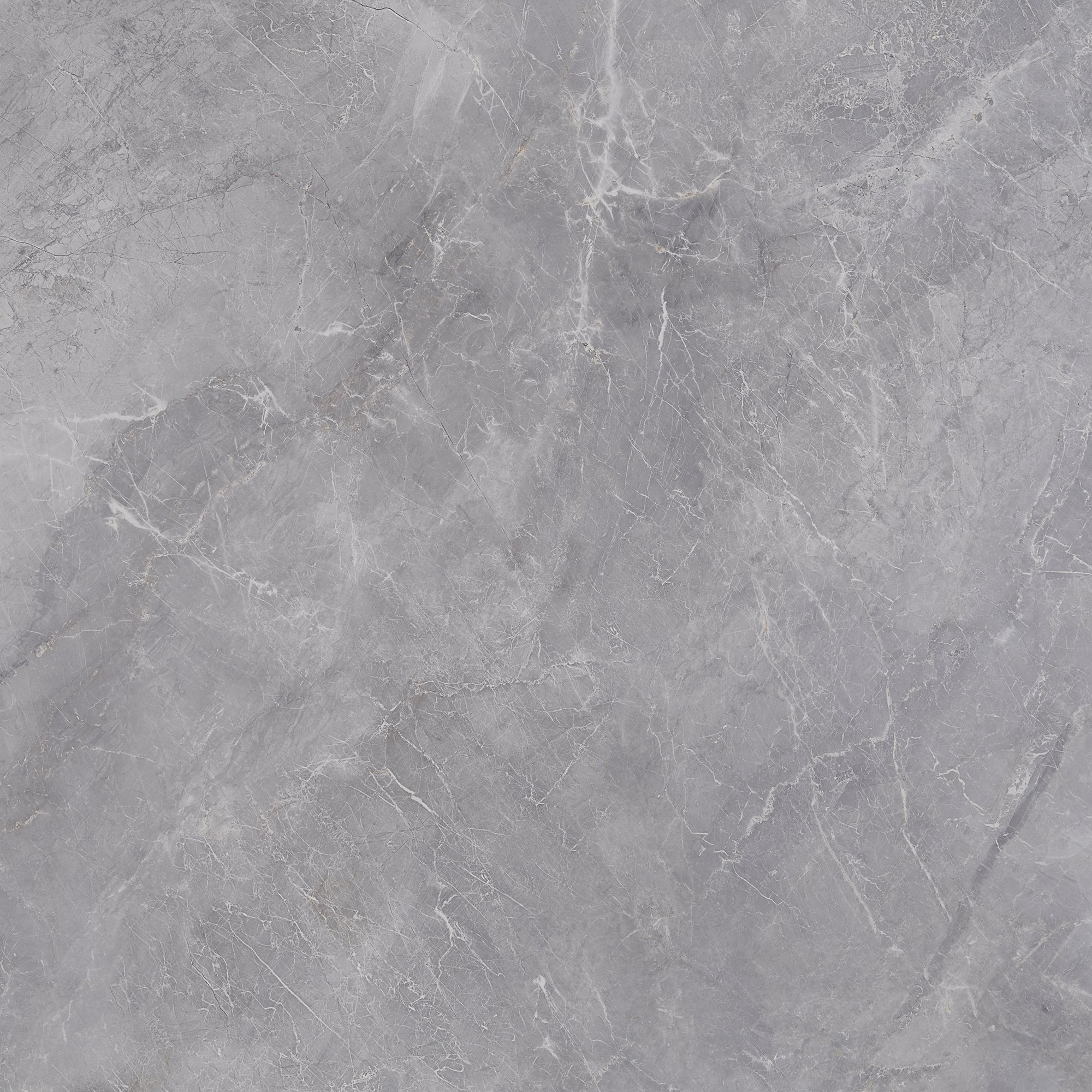 Product | Gray Marble 120x120 Natural Rectified - Portobello