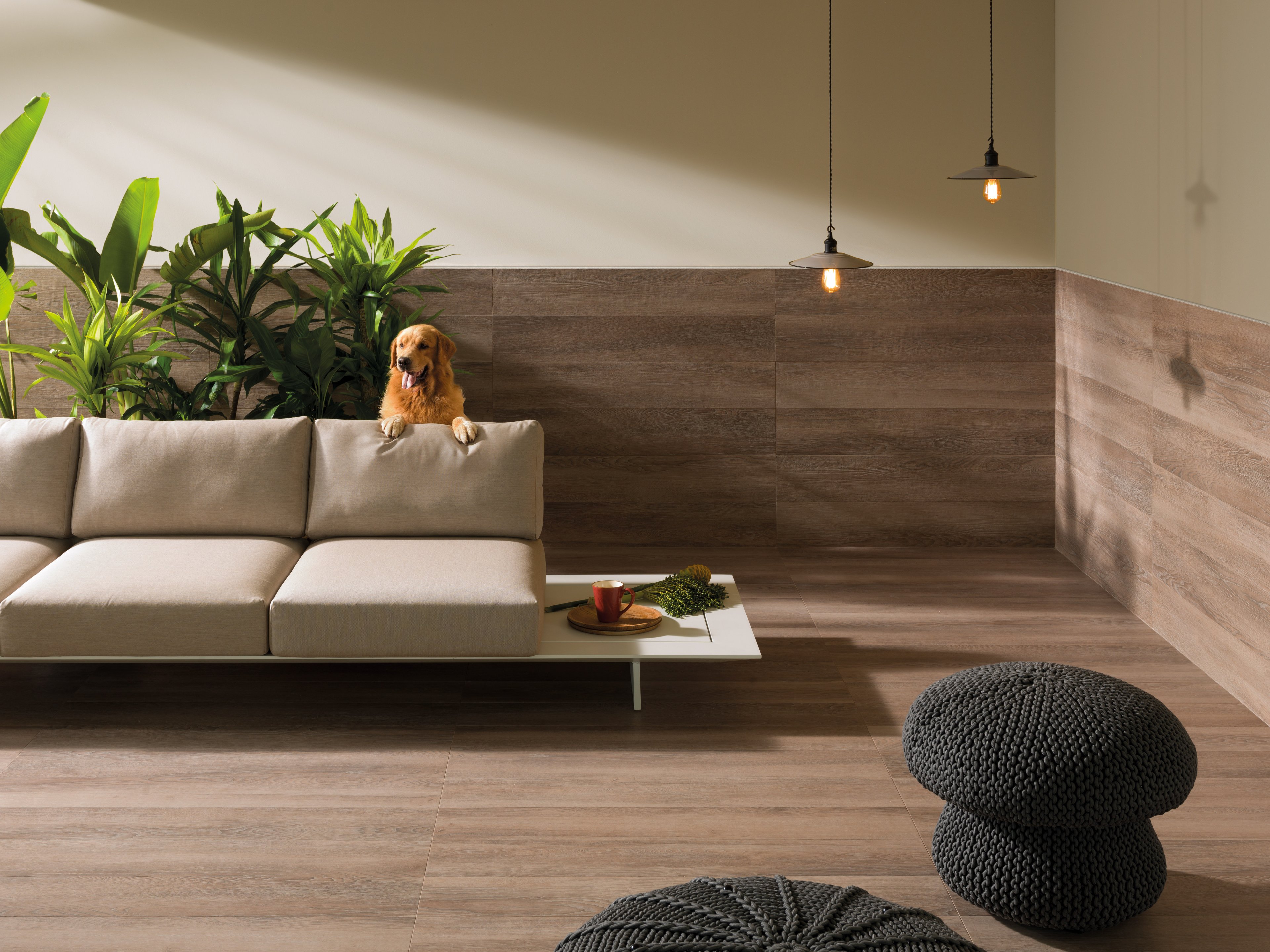 Revestimientos | Línea Ecodiversa - Portobello